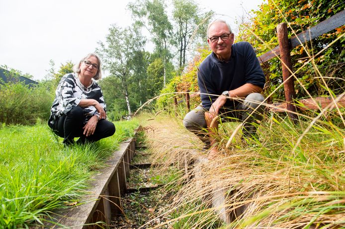 Watertekort in de Schoolbeek in Ugchelen, maar is de droogte de enige ...