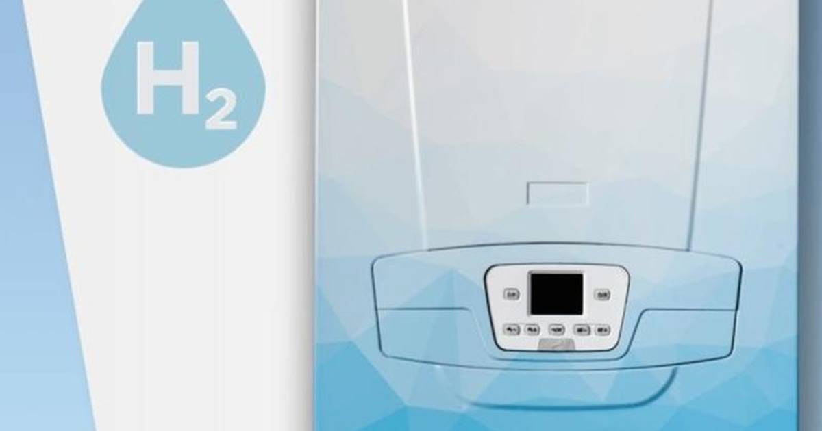 Verwarmen met waterstof: "Wij zijn er klaar voor, nu de overheid nog” | WOON. | hln.be