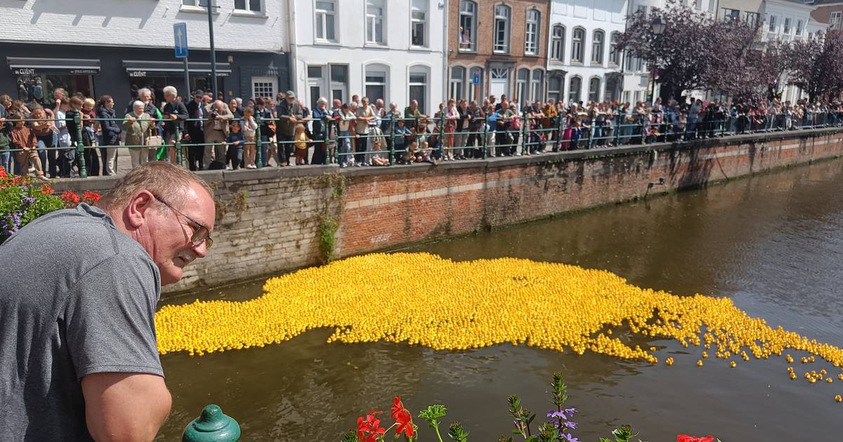 KIJK. Duizenden badeendjes racen op de Nete in Lier: “Regen en hagel ...
