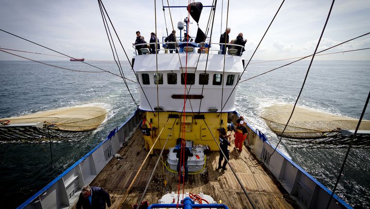 Er kan meer vis gevangen worden in de Noordzee | De Volkskrant