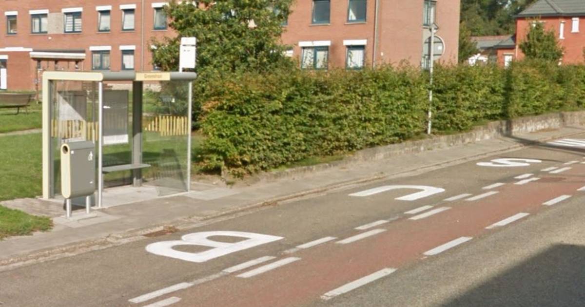 Helft Tongerse bushaltes verdwijnt: “Iedereen bushalte voor zijn deur ...