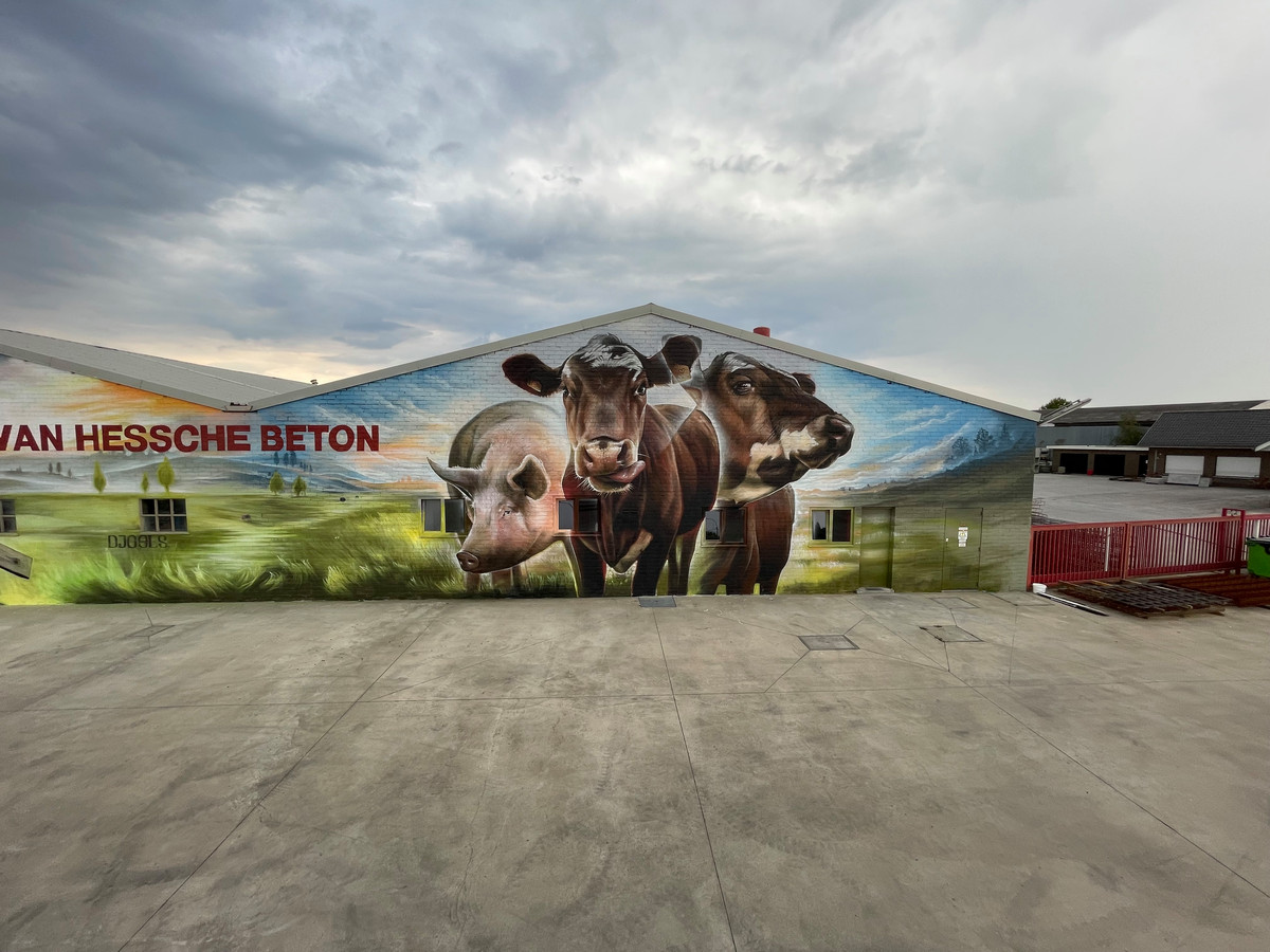 Graffitikunstenares Djoels zorgt voor enorme ode aan landbouwleven in ...