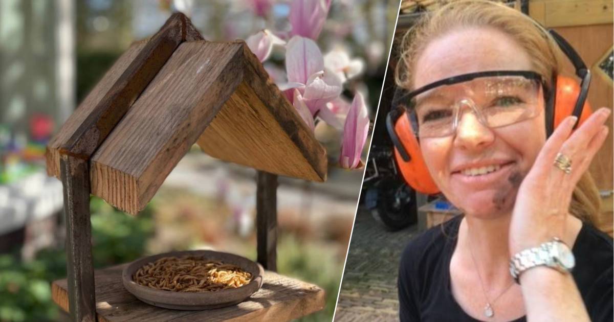 ‘Fogelhuisjes’ van Joyce uit Zeist zijn internationaal een succes: ‘2.0 ...