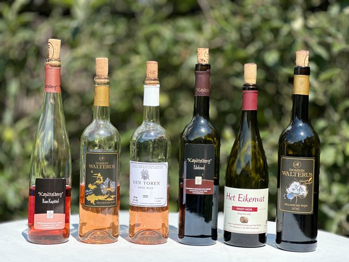 UITGETEST. Wijnen uit de Kempen. Deel 2: “In deze wijn ruiken we meloen ...