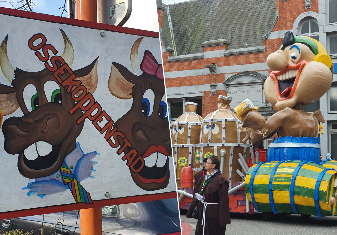 IN BEELD. Carnavalsstoet in Ossenkoppenstad | Foto | hln.be