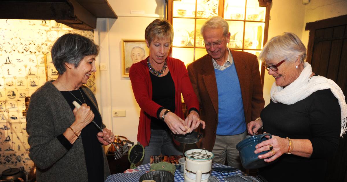 Sylvia Merrett van Dam nu ridder dankzij haar inzet voor ...