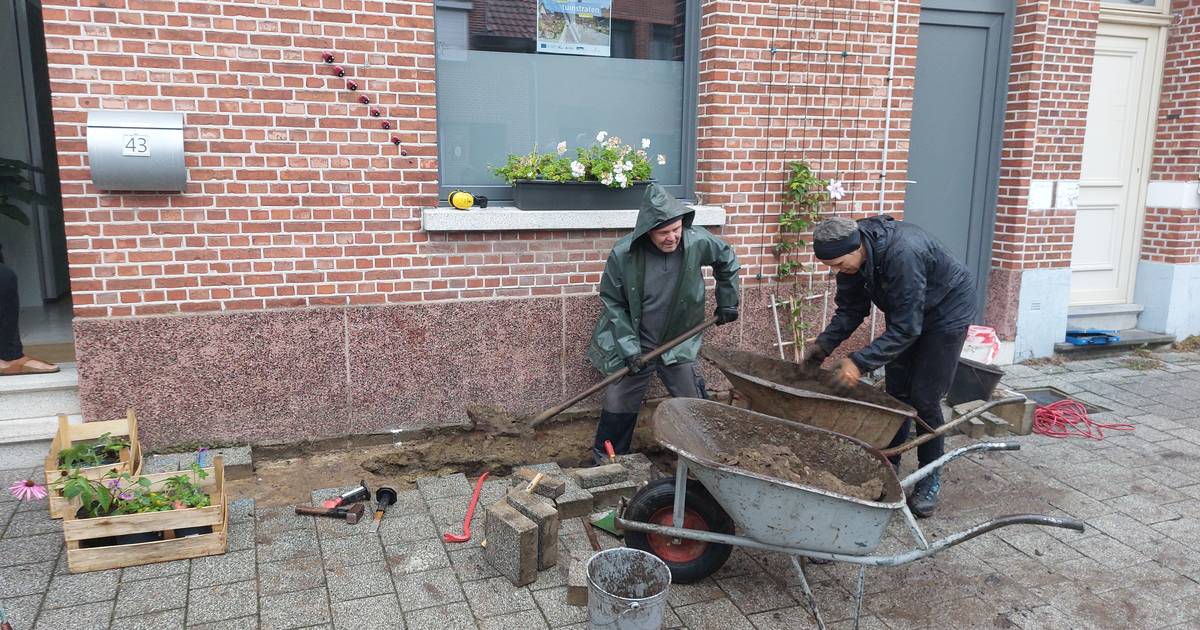 Inwoners van Holven steken handen uit de mouwen om straat om te toveren ...