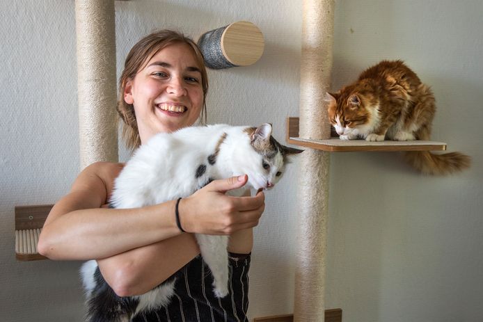 Huiselijke opvang voor hond en kat razend populair: ‘Het is wel hun ...