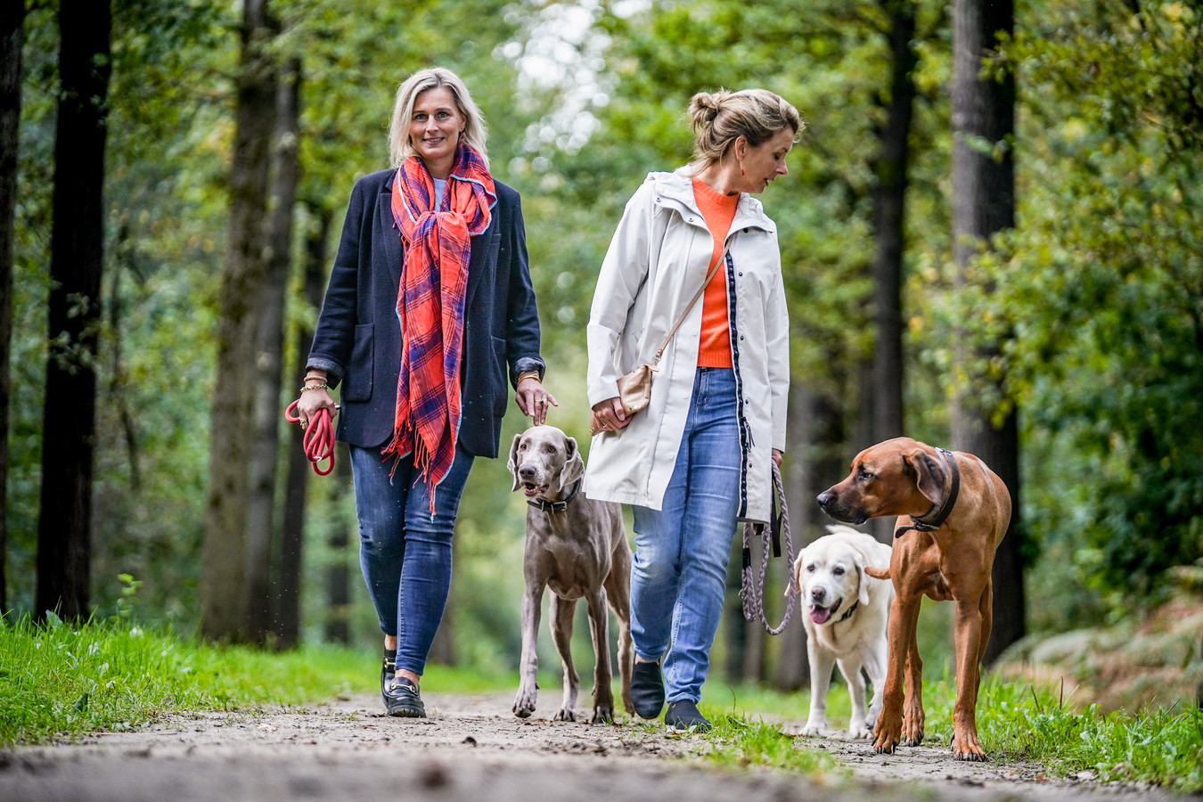 1560 handtekeningen om honden in Ulvenhoutse Bos uit te blijven laten ...