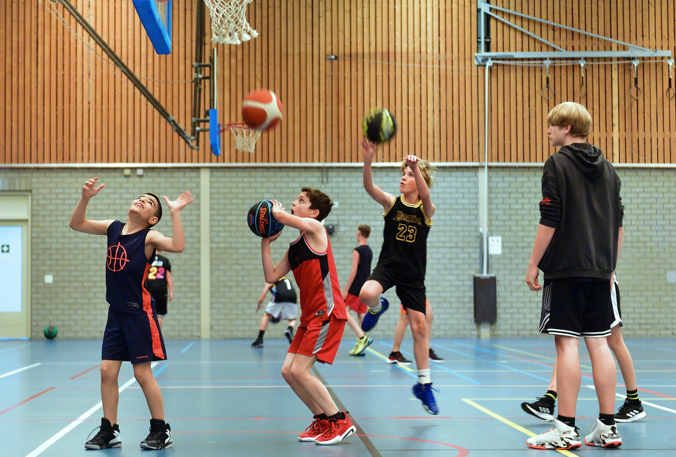 Groei basketbalsport zorgt ook voor beperkingen: ‘Er is soms gebrek aan ...