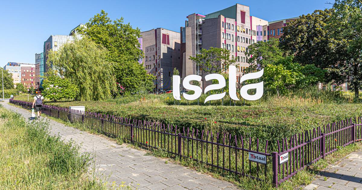 Gifbeker nog lang niet leeg voor ziekenhuis Isala na nieuwe ontdekking ...