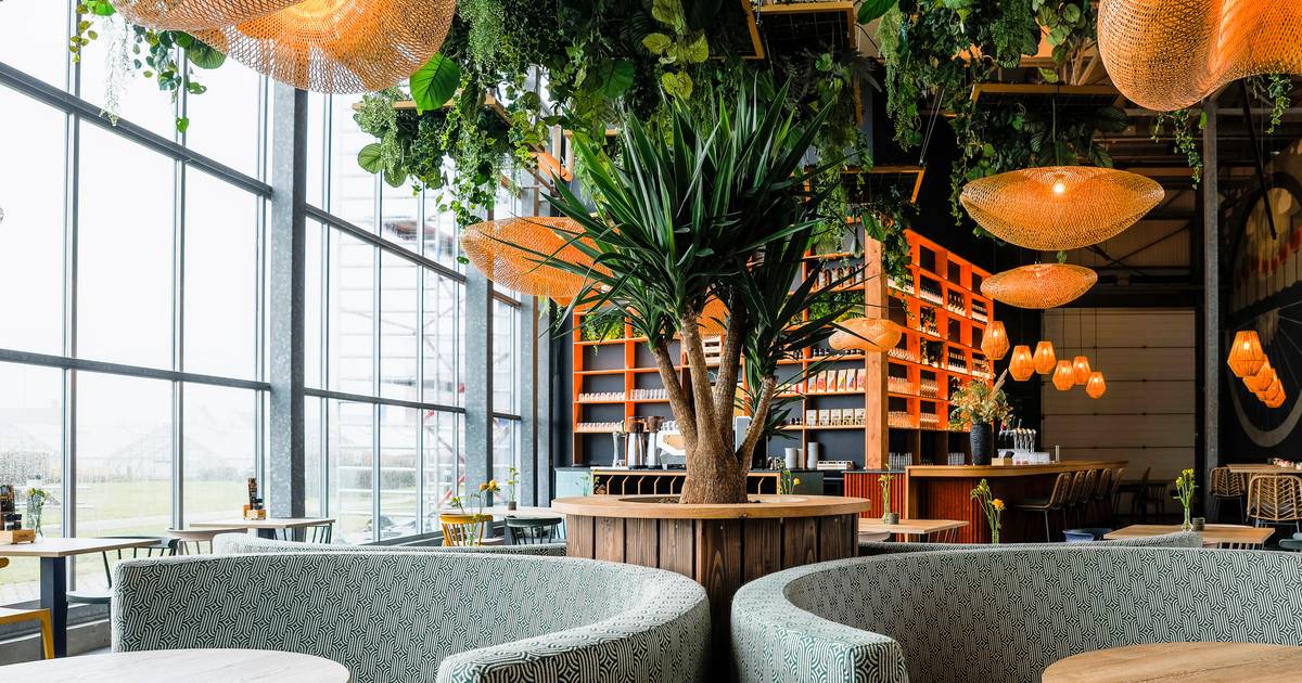 Restaurant van The Vineyard gaat open: ‘Zinvol en leuk werk voor ...