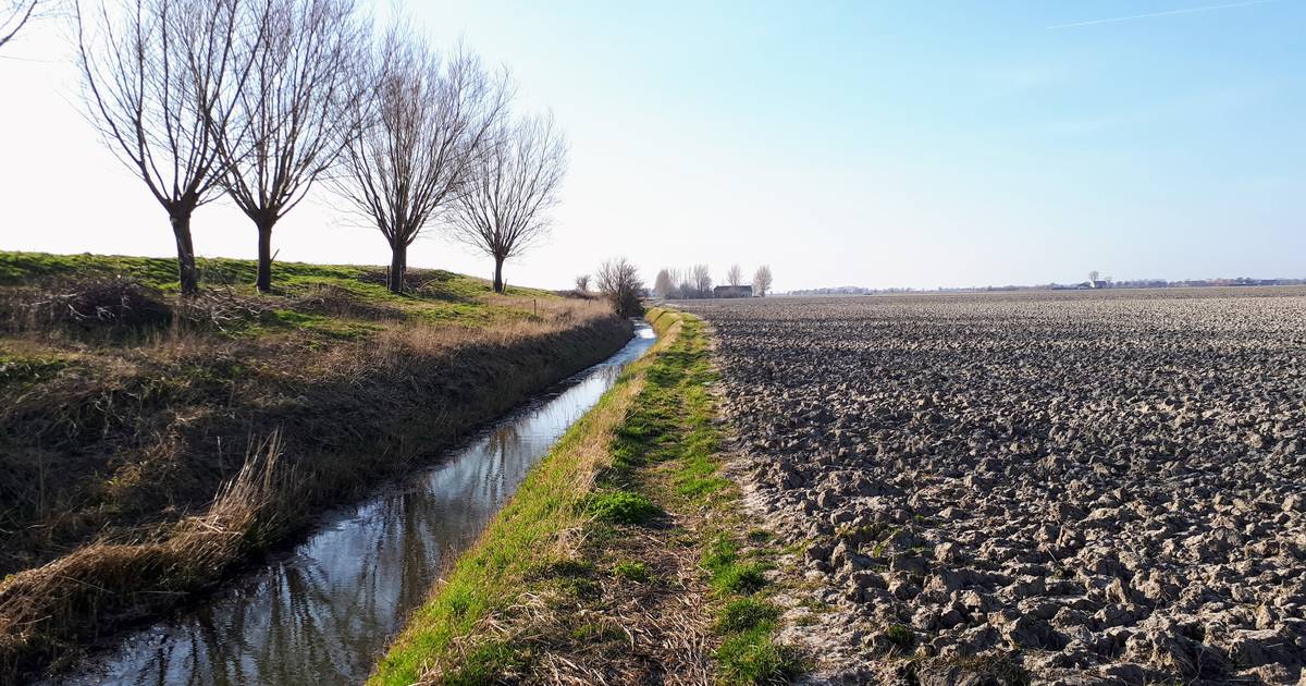 Zeeuwse boeren meten zelf of het water in de sloot zoet genoeg is ...
