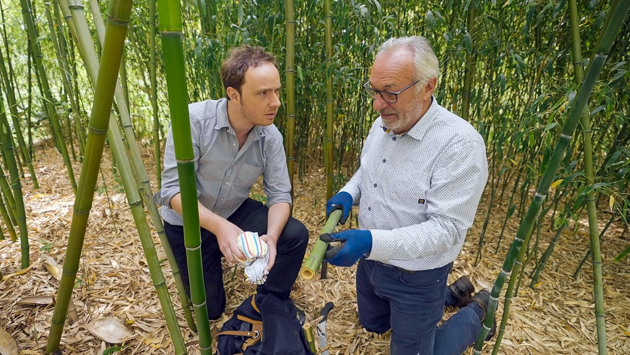 Vanavond op tv: Keuringsdienst van waarde en Secret duets | Foto | AD.nl