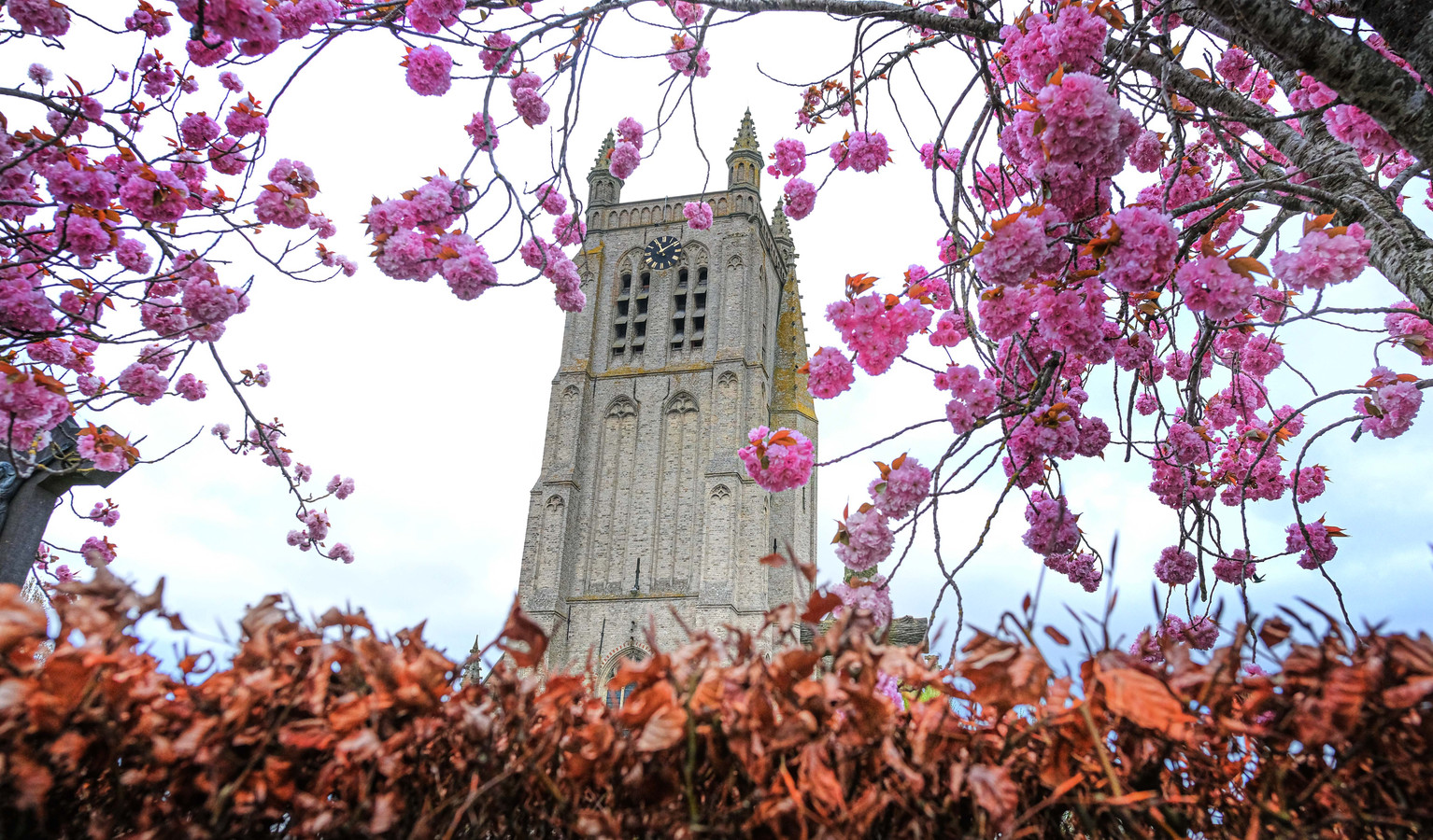 MIJN DORP. Op bezoek in Woesten, het dorp van fotografe Axelle ...