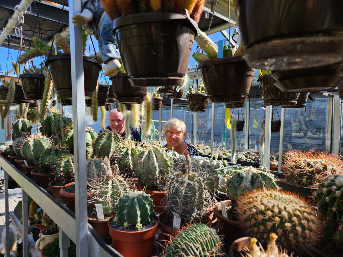 MIJN TUIN. De duizend cactussen van Sabine en Dirk: “Als de ...