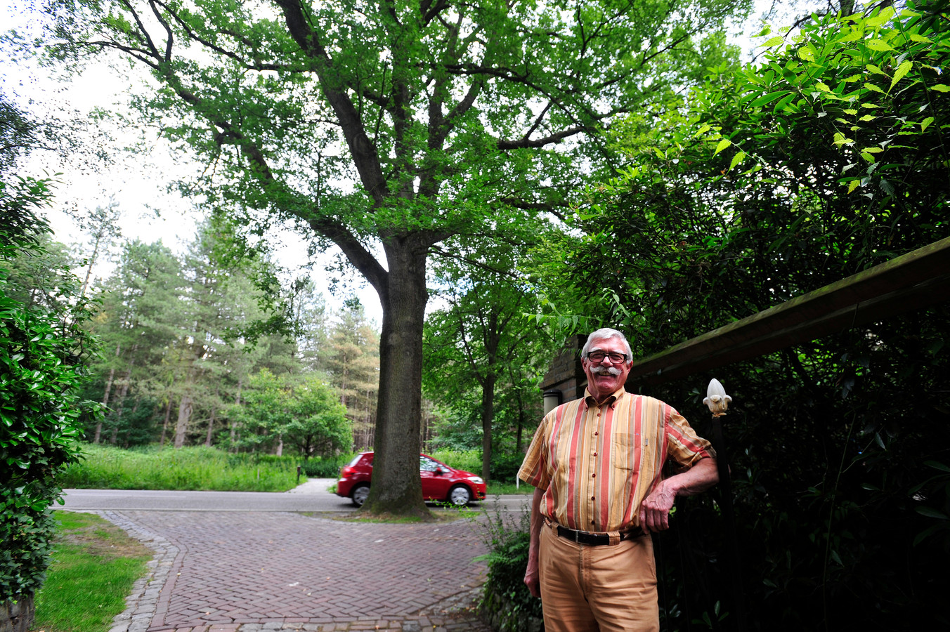 Tulpenboom moet na 75 jaar wijken voor inrit: 'Een boom heeft nu ... Tulpenboom moet na 75 jaar wijken voor inrit: 'Een boom heeft nu ...
