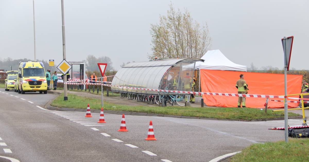 Gevlucht uit Oekraïne, omgekomen langs provinciale weg in Lopik: moeder ...