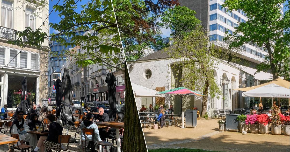 Heerlijk brunchen in Egmontpark of speciaal plekje bij charmant café ...