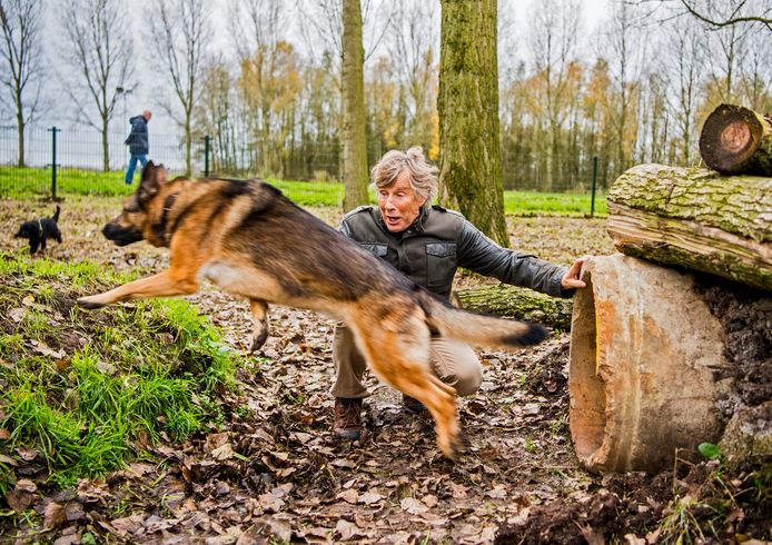 Hondenpoep op straat, is dat alleen de schuld van het baasje? Martin ...