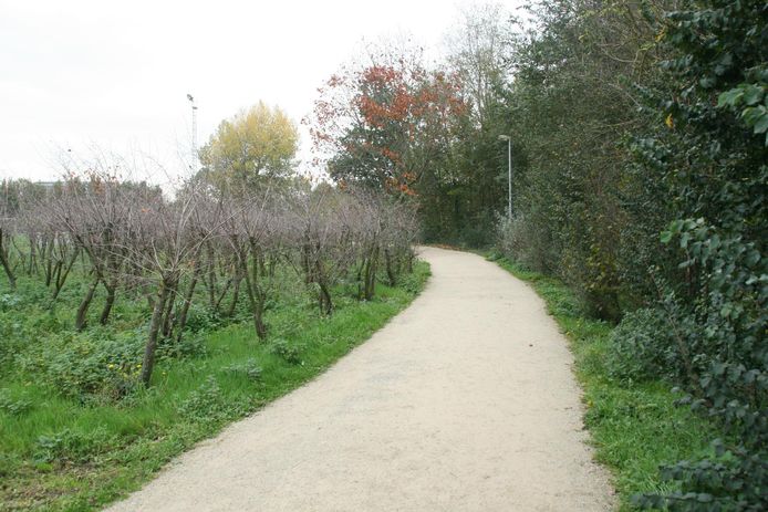 Man geklist die vrouwen betastte op looppiste | Waregem | hln.be