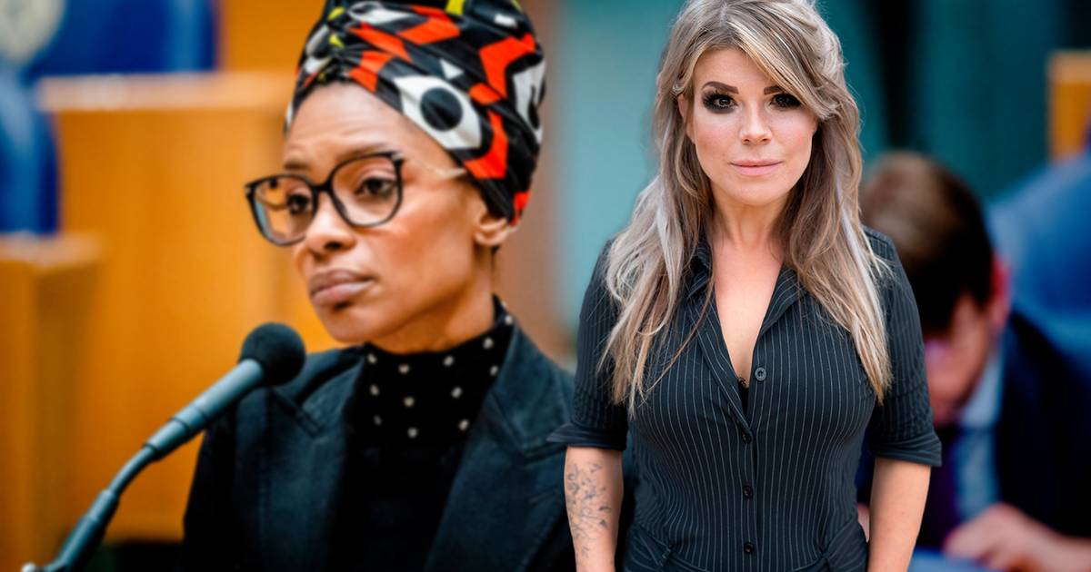 Sylvana Simons wekt enorme irritatie op, maar waarom eigenlijk ...