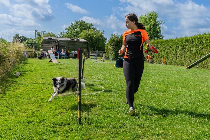 Nienke 18 En Haar Hondje Finnley Gaan Naar Wk Behendigheid In