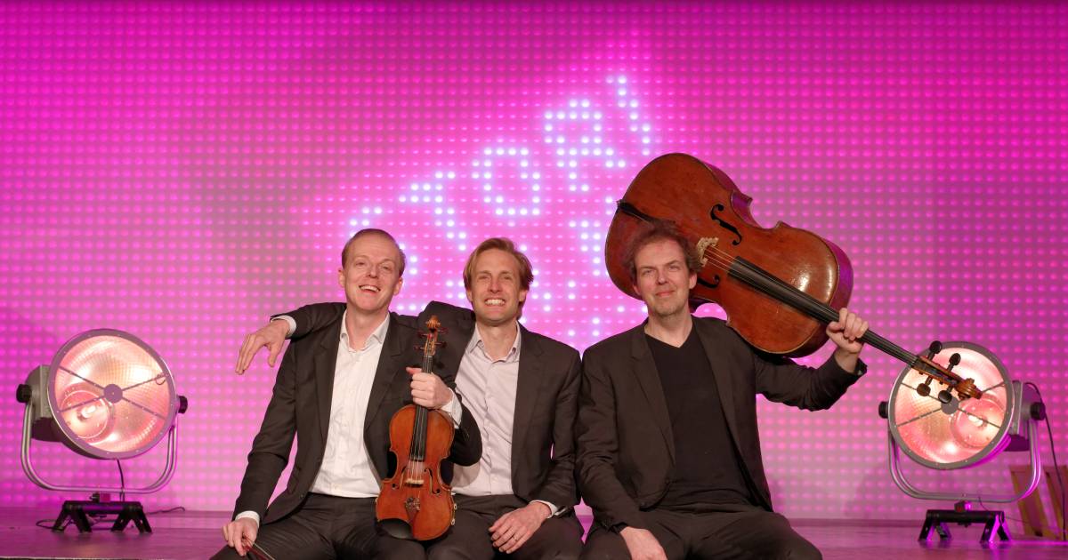 Kamermuziekcyclus Theo Driessen Instituut wijkt tijdelijk uit naar de ...