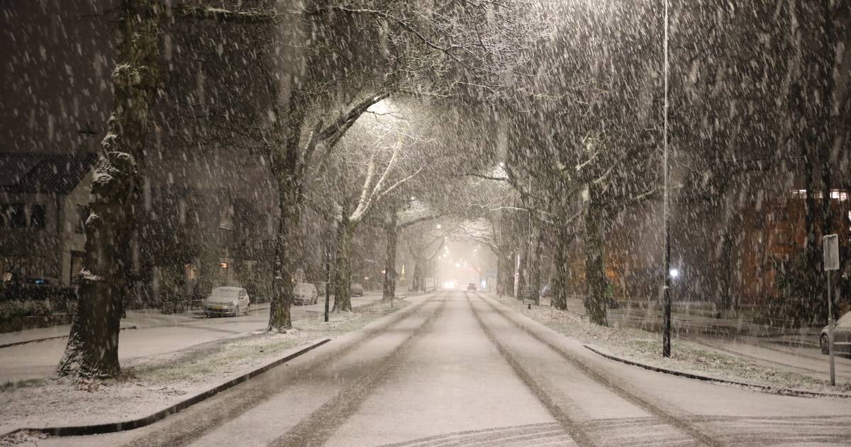 De eerste sneeuwval in Oost-Nederland levert mooie plaatjes op, komt er nog meer aan ...