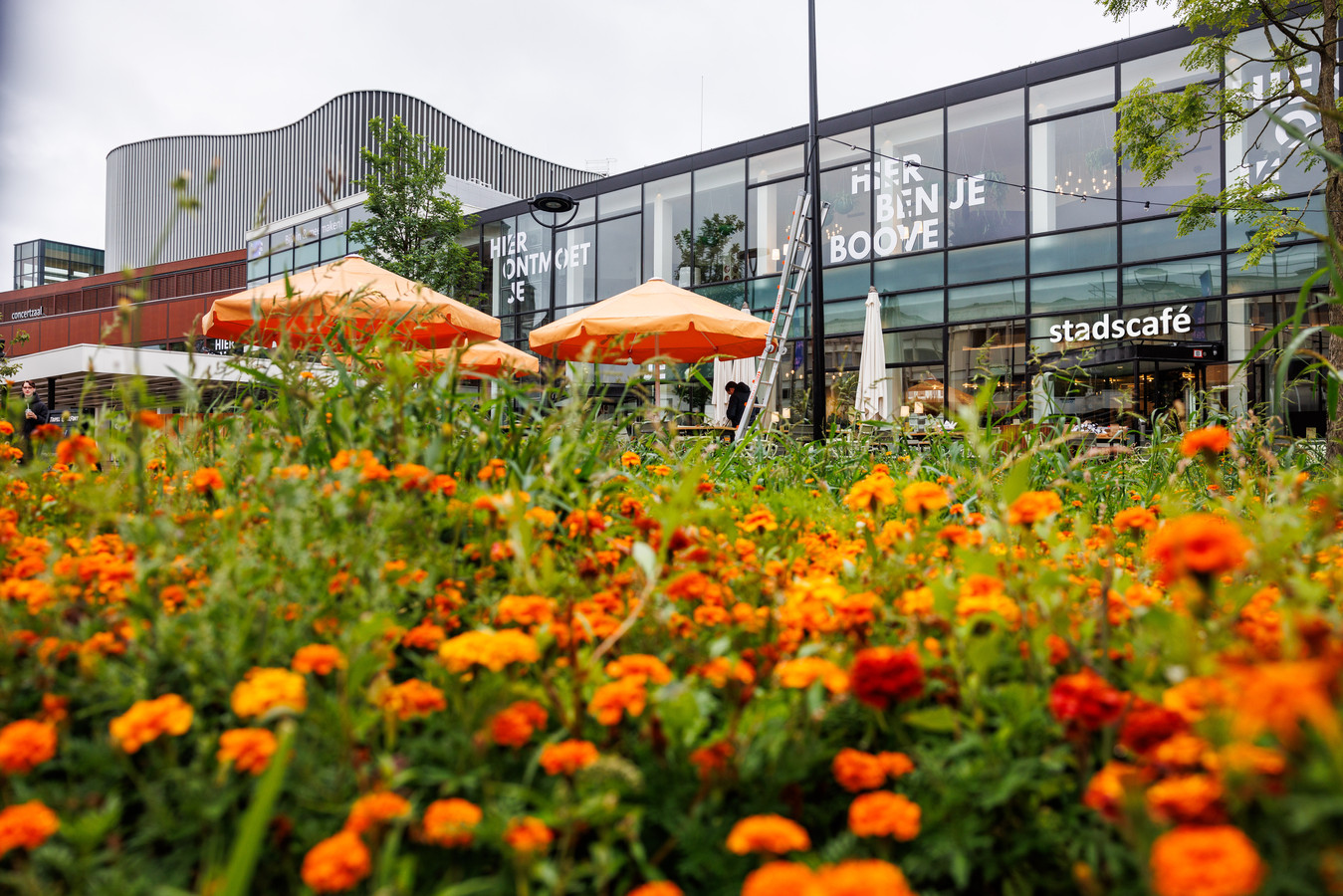 Dit stadscafé moet voor meer reuring zorgen; met ‘Boove & Benee’ gaat ...