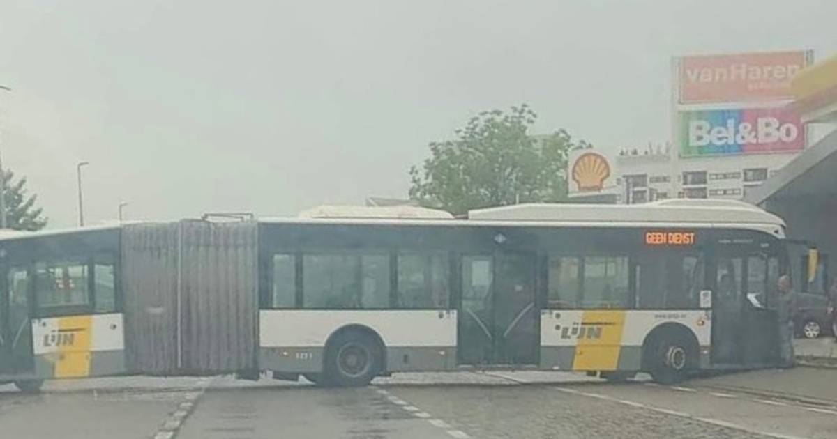 Bus van De Lijn rijdt zich vast op verkeerseiland aan Palinghuizen ...