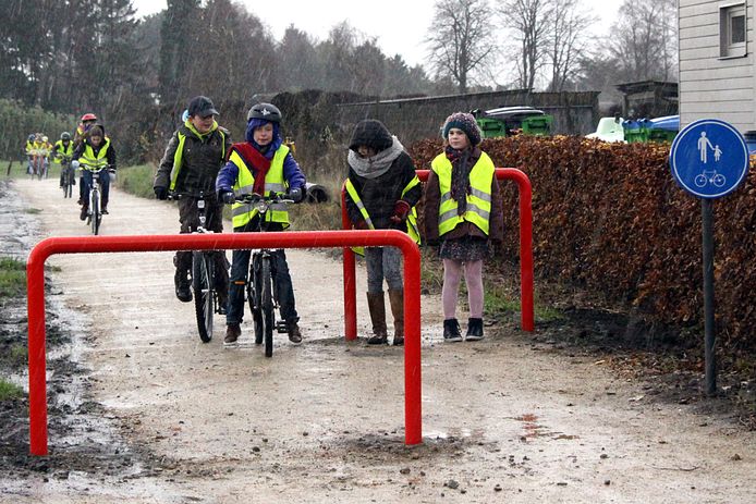Groen wil elk jaar 500 kilometer extra fietspad en veilige fietsroutes ...