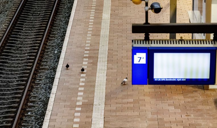 Vrijwel geen treinverkeer in grootste deel Noord-Holland door NS-staking