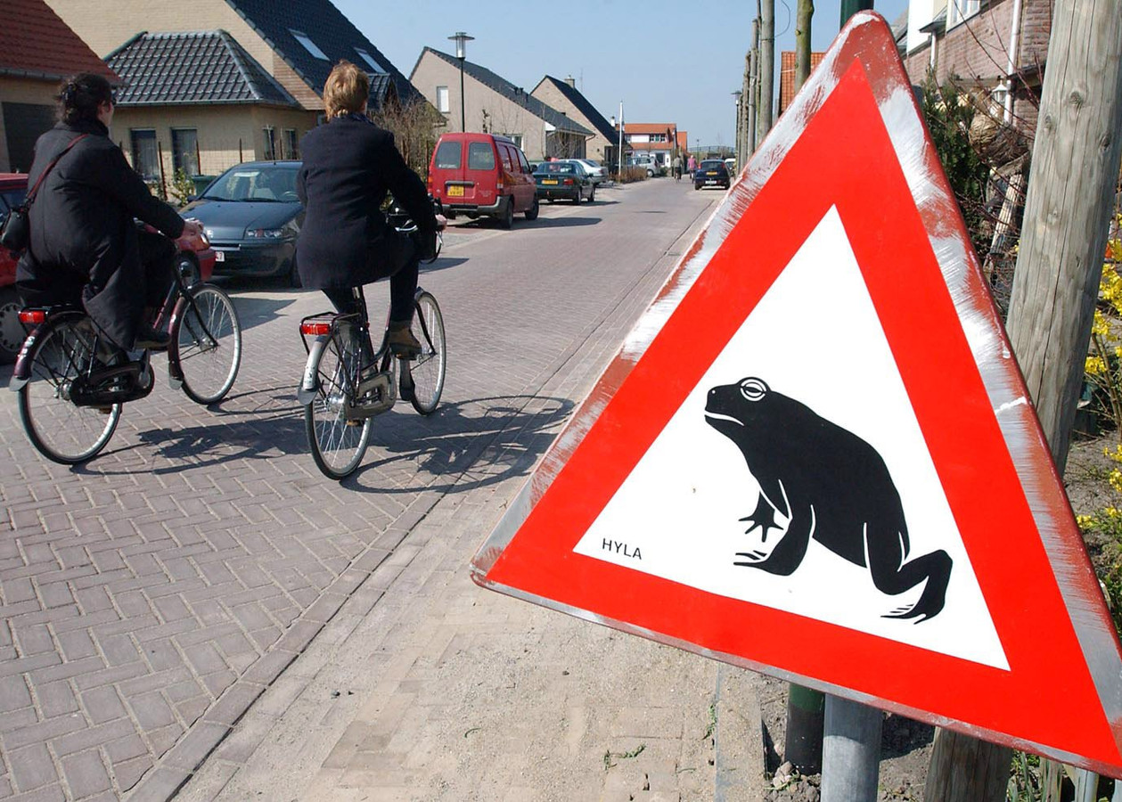 Nederland telt drie miljoen (!) verkeersborden, 600.000 zijn overbodig ... Nederland telt drie miljoen (!) verkeersborden, 600.000 zijn overbodig ...
