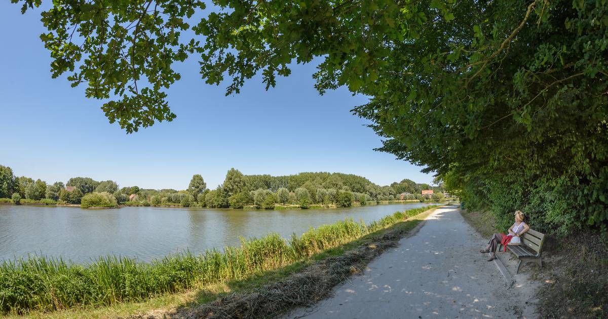 Park van Neerpede krijgt zwemvijver zo groot als vier olympische ...