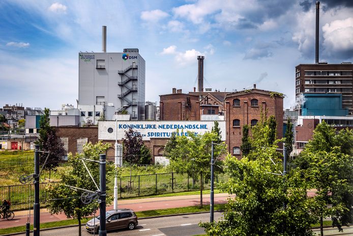DSM-fabriek maakt mogelijk plaats voor woningen | Delft | AD.nl