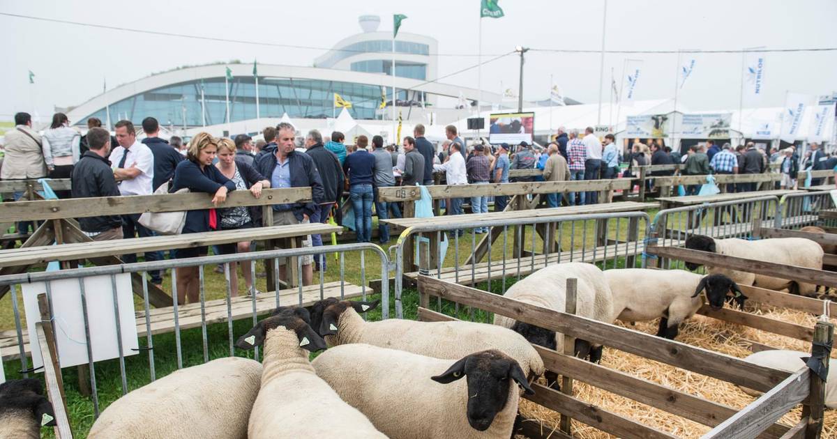 La 82e Foire agricole de Libramont a attiré 195.177 visiteurs ...