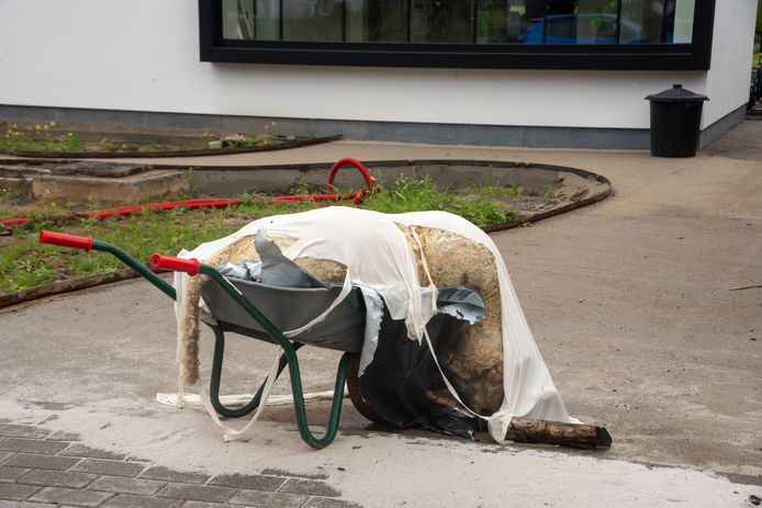 “De stank is niet meer te harden”: 8 dagen nadat man Rendac belt voor ...