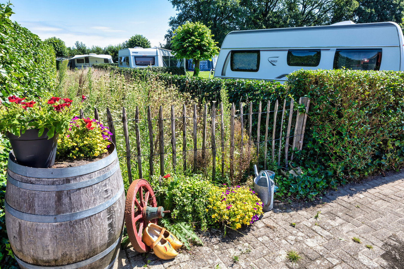 Nominatie voor camping De Wielewaal in Baarle-Nassau: ‘Kers op de taart ... Nominatie voor camping De Wielewaal in Baarle-Nassau: ‘Kers op de taart ...