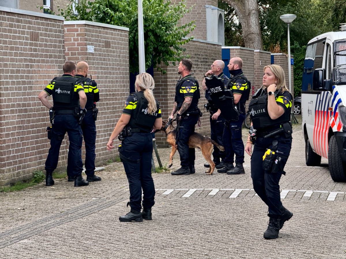 Grote politie-inzet in Delft voor melding van vuurwapen: arrestatieteam ...