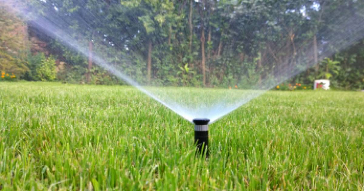 Strengere regels voor gebruik grondwater: meldplicht voor mensen met ...