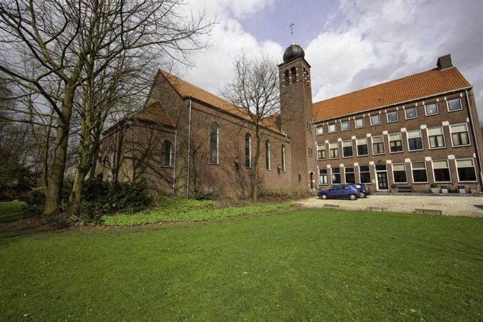 Stallen vol dikbillen op steenworp van het aardse paradijs | Breda ...