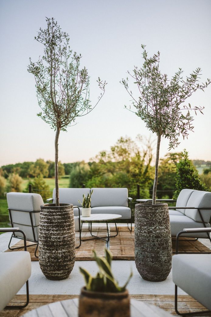 Gault&Millau bekroont terras van Hoeve De Bies in Voerstreek tot het ...