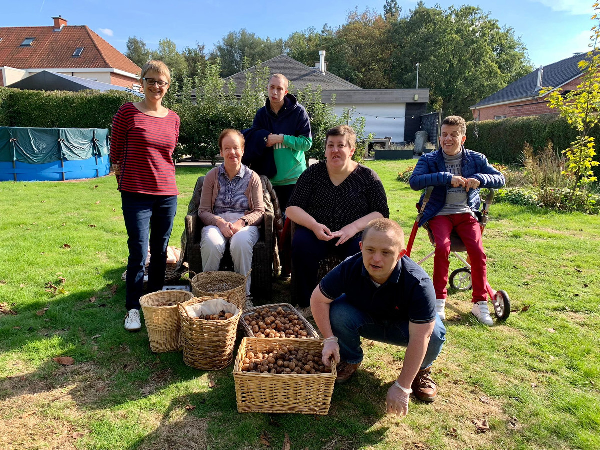 Raakzaam kraakt ingezamelde walnoten om er olie van te maken | Foto ...