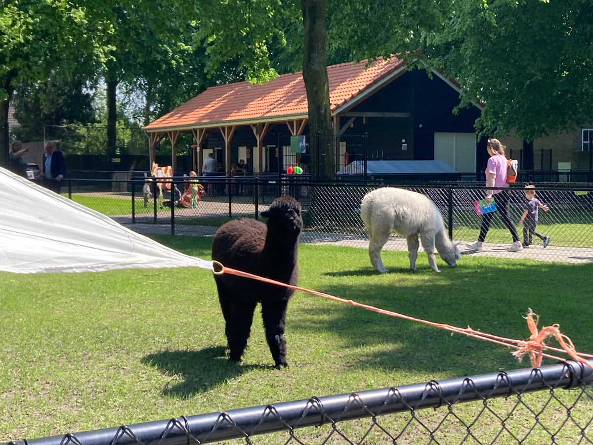 Tilburgse kinderboerderijen gaan onder nieuwe naam verder: Onze 013 ...
