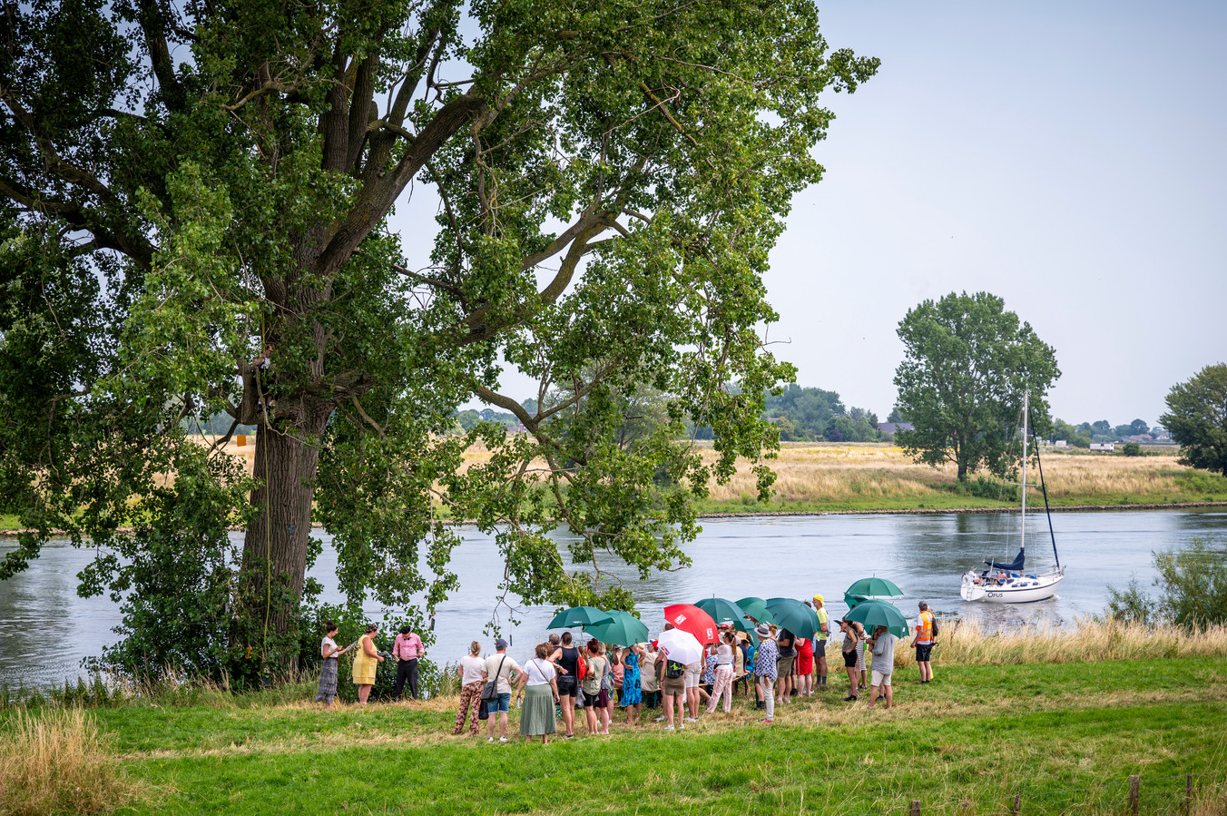 Oeverloos verraadt onbekende plekjes in Lith | Foto | bd.nl