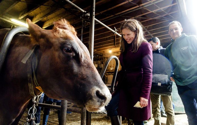 Zelfmoord boeren: Onzekerheid van minister is strop om nek van boer ...