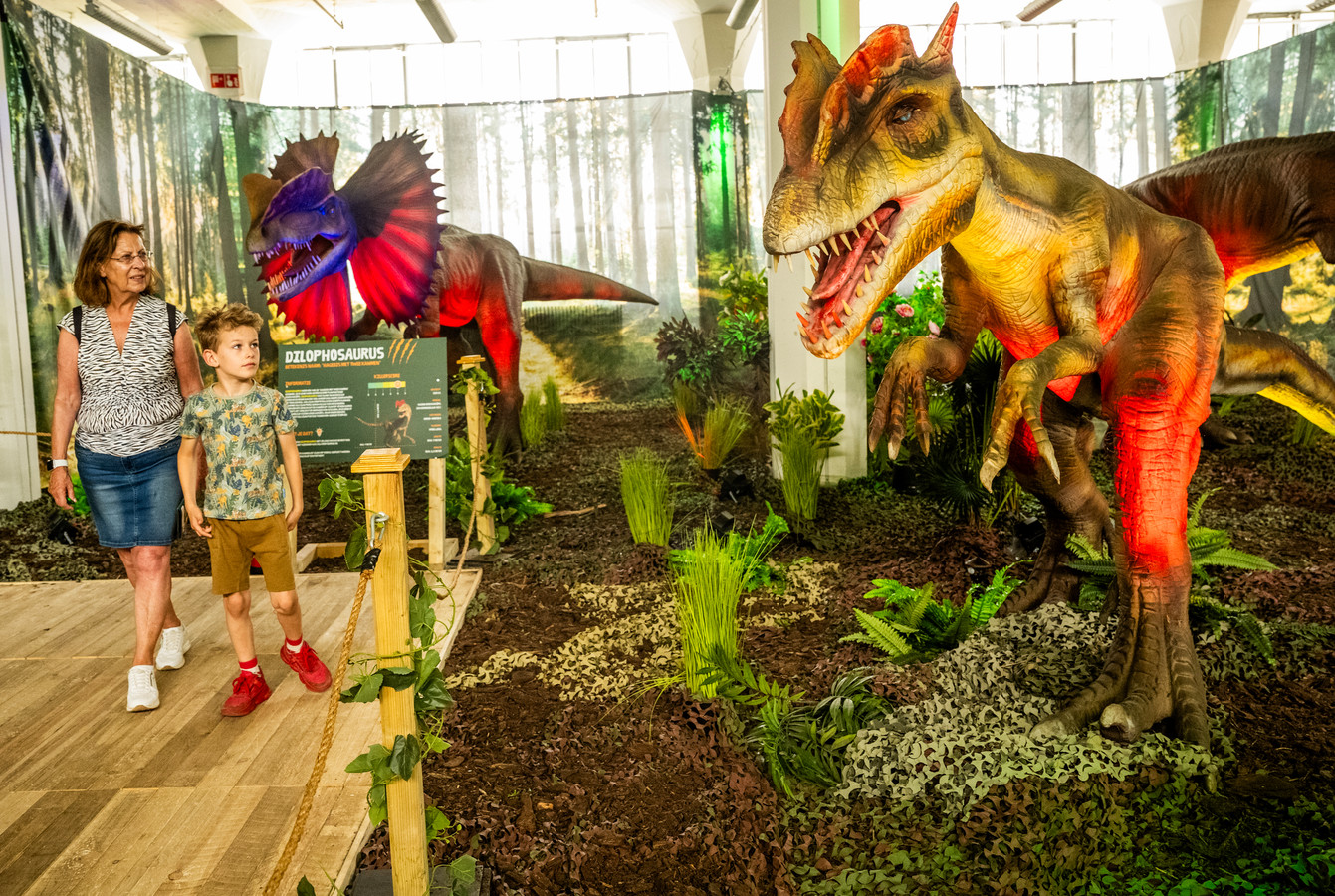 Oog in oog met dino’s in het donker in de Van Nelle Fabriek: ‘Zo stoer ...