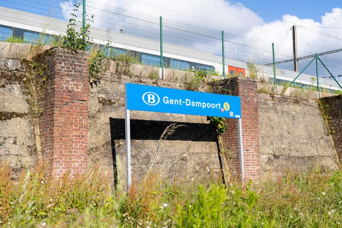 Roemeen in beroep tegen maximumstraf voor verkrachting van studente in ...