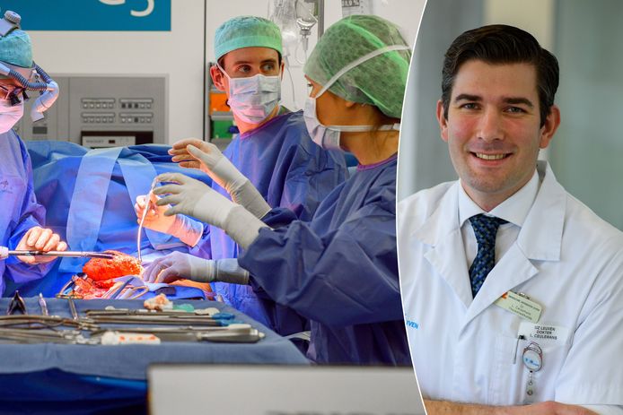 “Het blijft magisch als donorlong weer tot leven komt”: artsen van UZ Leuven voerden al ruim 1. ...